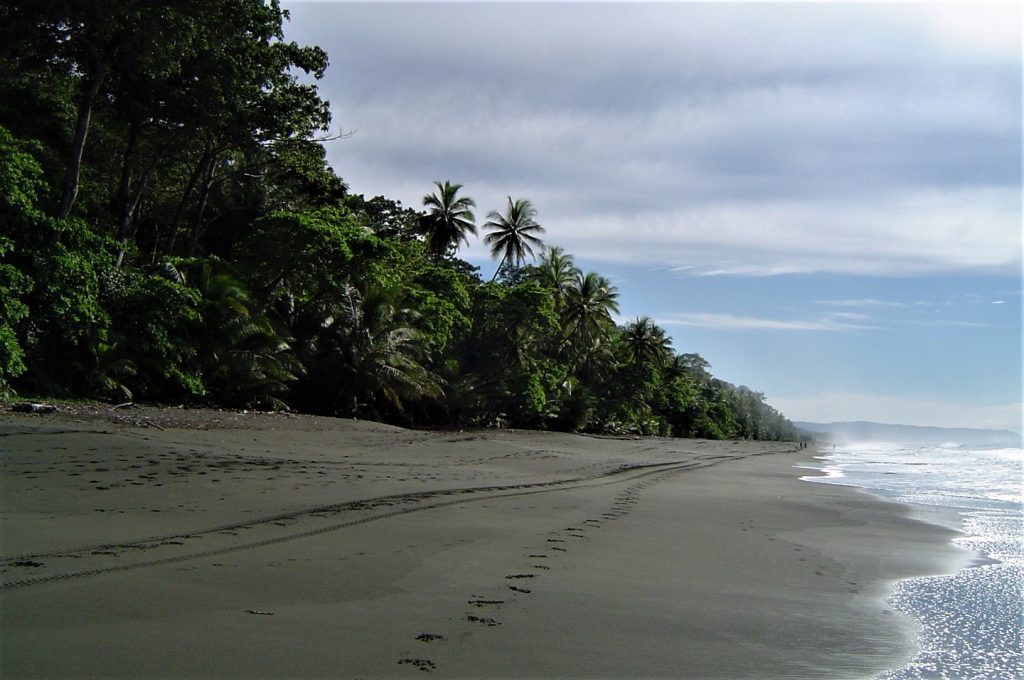 Costa Rica Beaches: The Ultimate Beach Travel Guide
