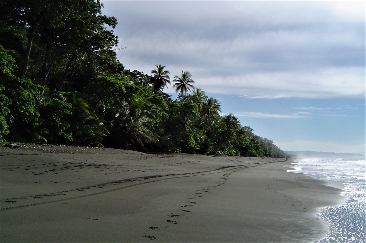 Costa Rica Beaches: The Ultimate Beach Travel Guide