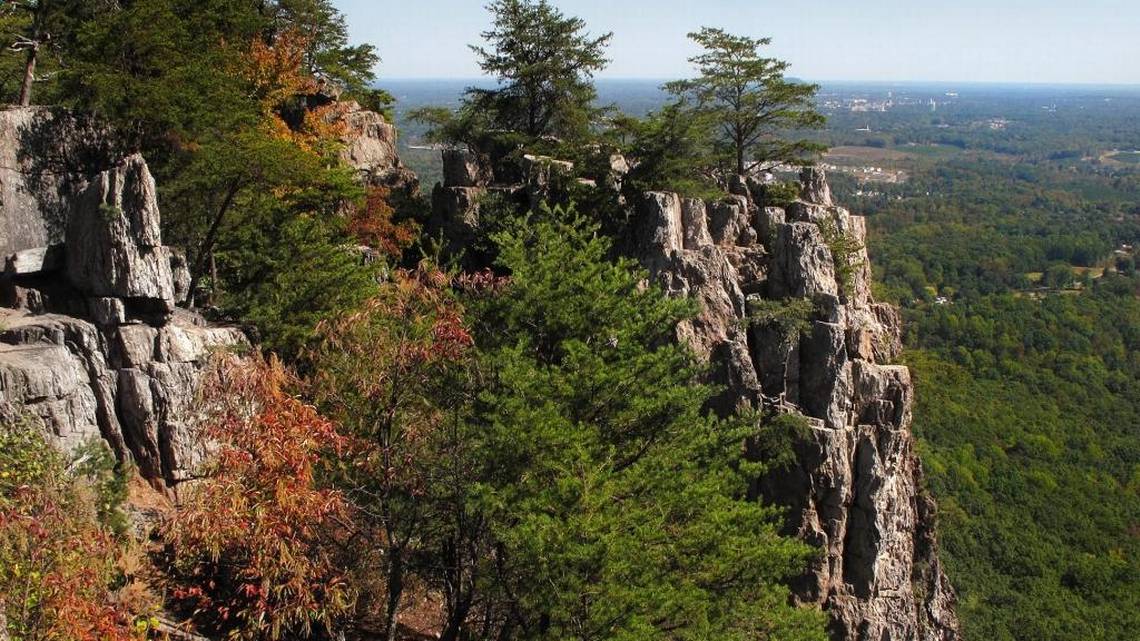 40 Enjoyable Things to Do in Charlotte, NC - Traveladvo