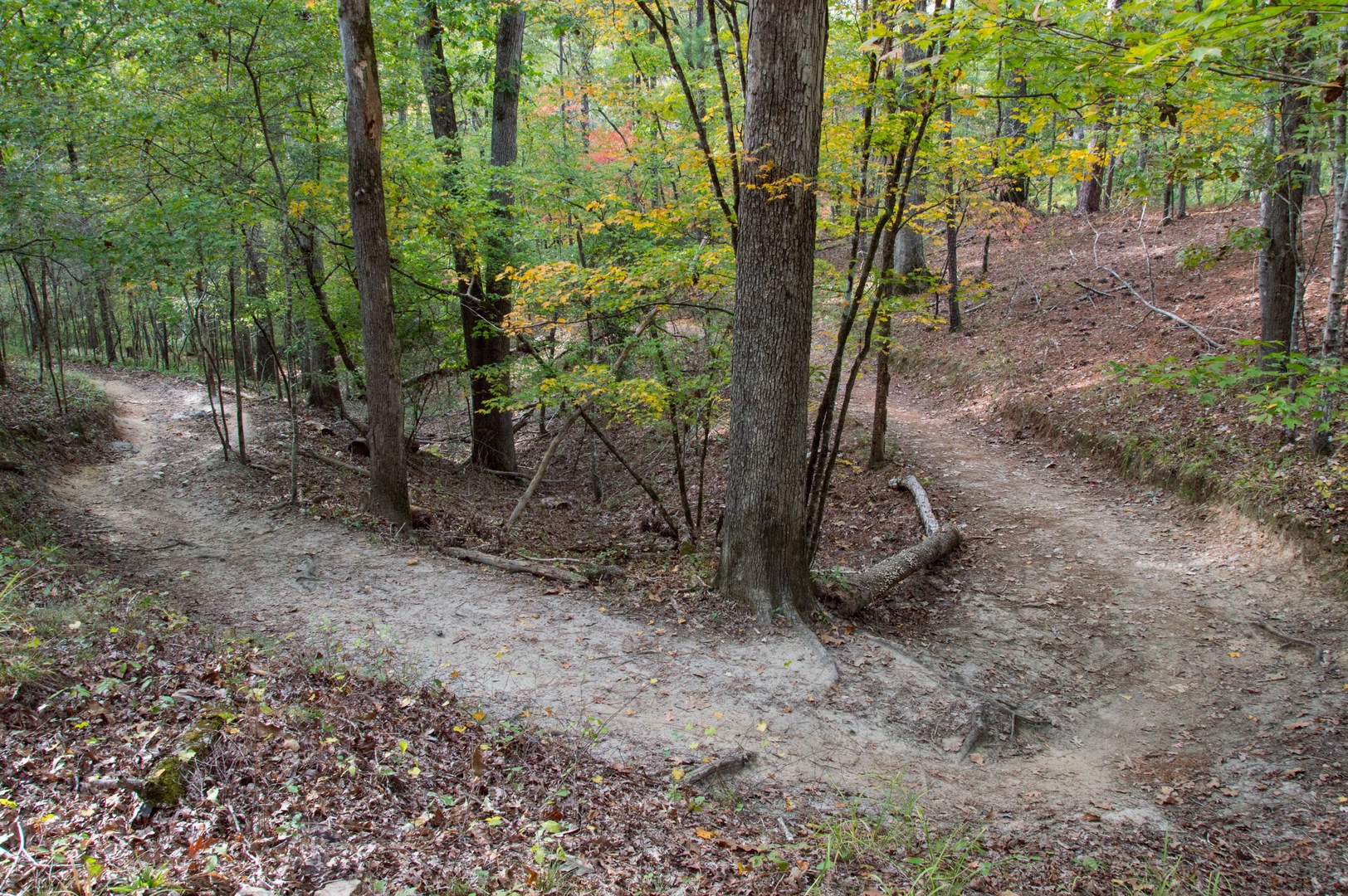 Top 40 Things to do in Columbia SC, USA - Traveladvo