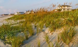 Best and Fun Beaches in South Carolina - Traveladvo