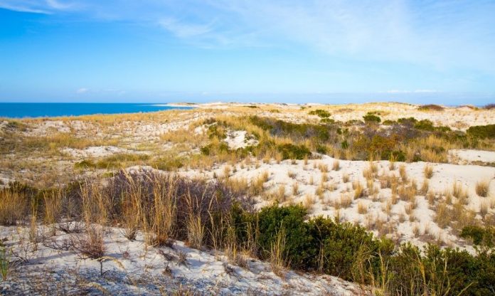 Best and Fun Beaches in Delaware, United States - Traveladvo