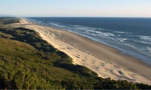 Best and Fun Things to Do in Oregon - Traveladvo