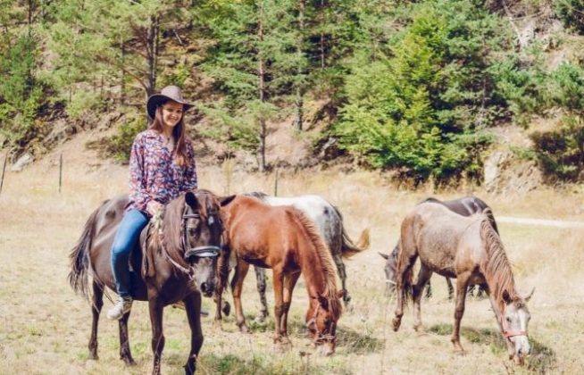 Best and Fun Things to Do in Dallas, Texas - Traveladvo