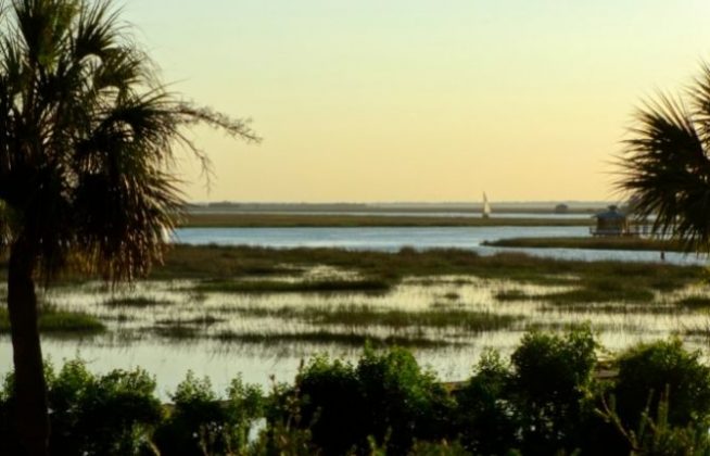 Best and Fun Beaches in Georgia, USA - Traveladvo