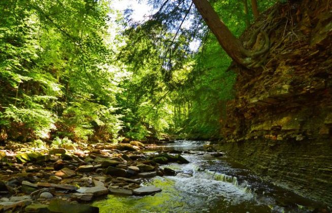 25 Best Things to Do in Delaware - Fun Activities - Traveladvo